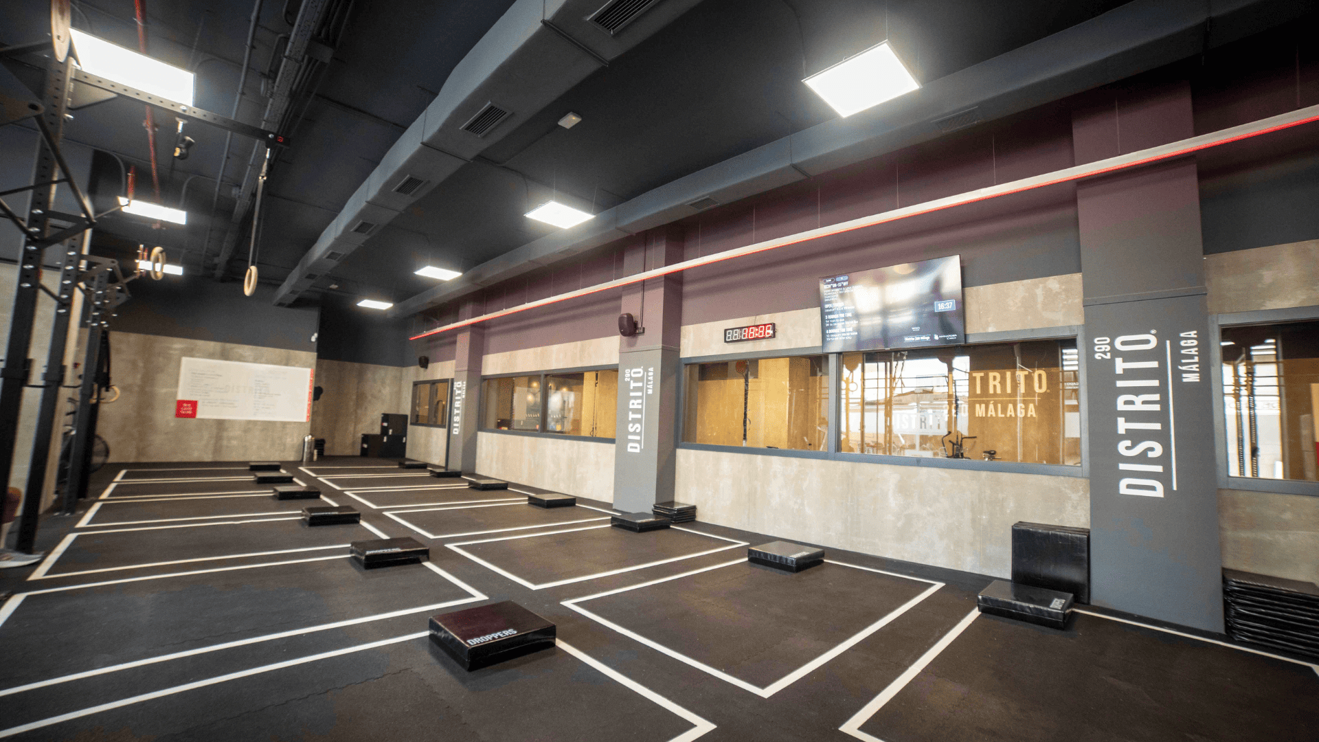 Distrito Estudio prevé llegar a 25 centros fitness en 2026