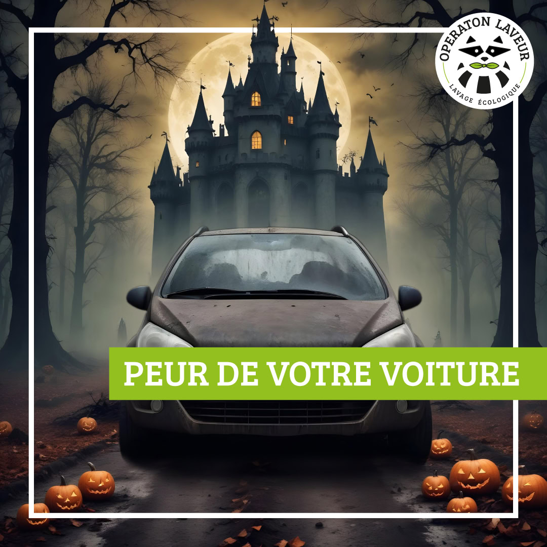 Opération Laveur : Lavage auto écologique à domicile cet automne